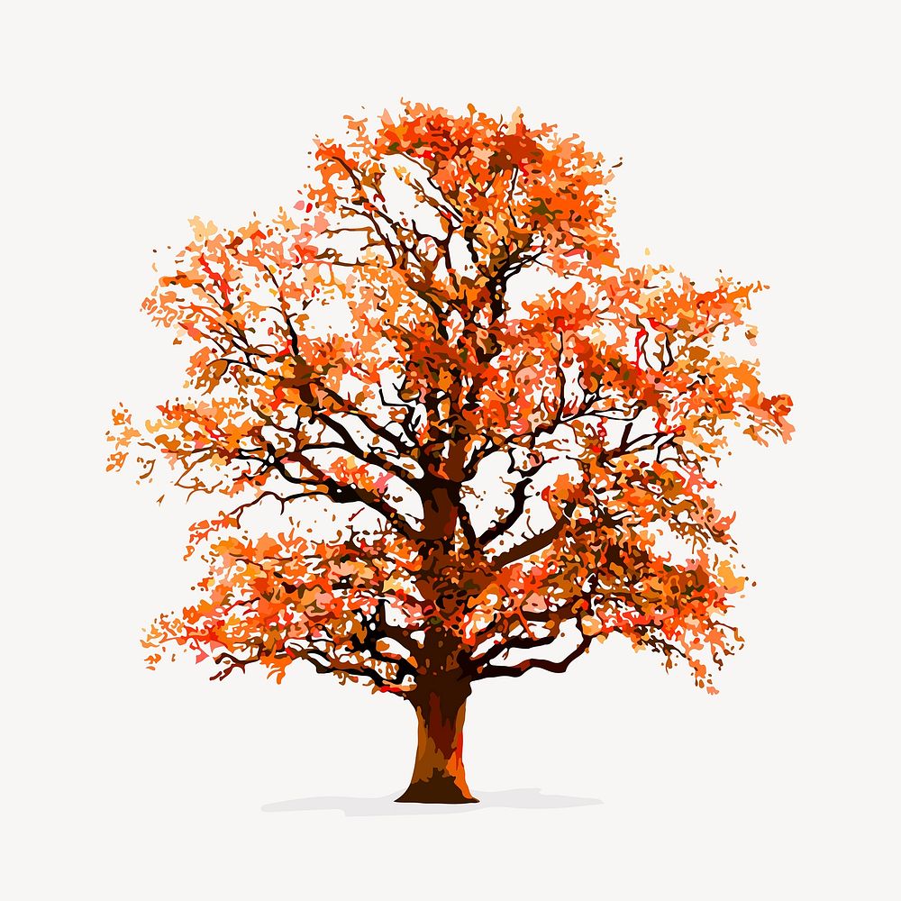 Autumn tree isolated white, nature | Premium Vector Illustration - rawpixel