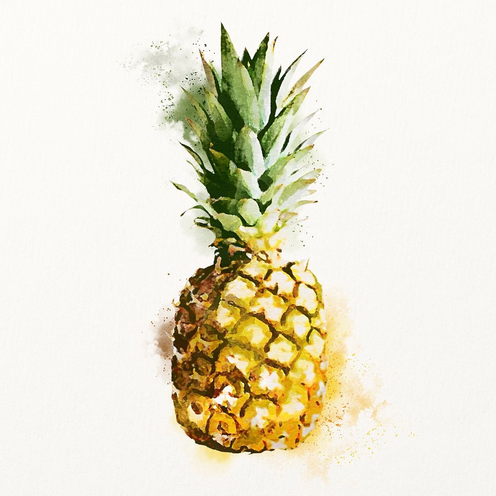 Watercolor pineapple clipart, tropical fruit | Free Photo Illustration ...