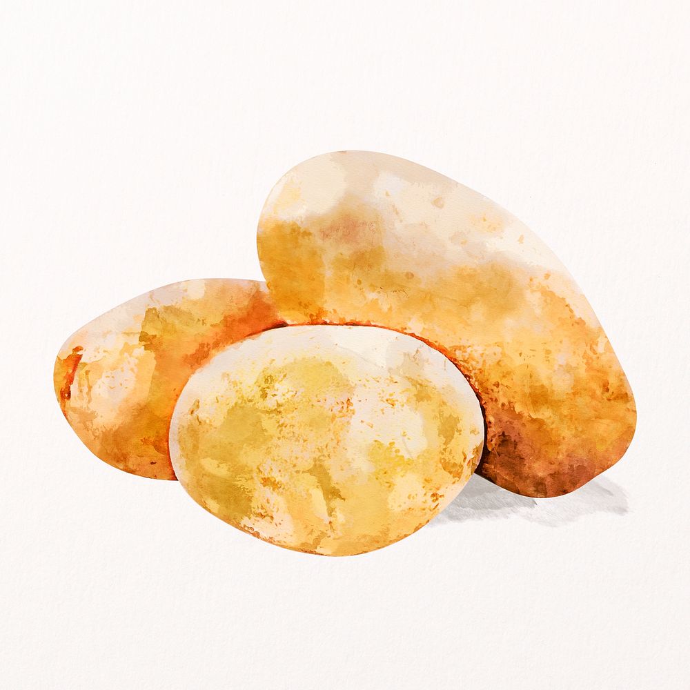 Watercolor potatoes clipart, vegetable illustration | Premium PSD ...