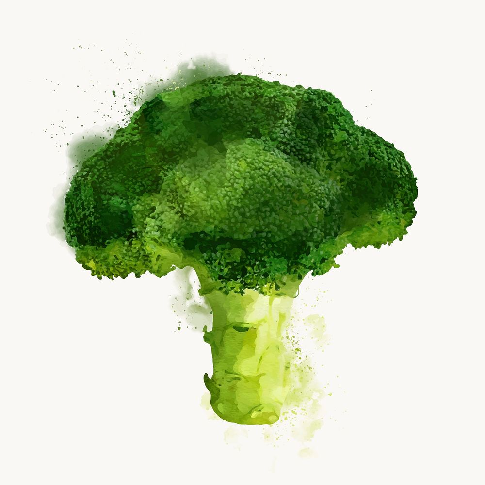 Watercolor broccoli clipart, vegetable illustration | Premium Vector ...
