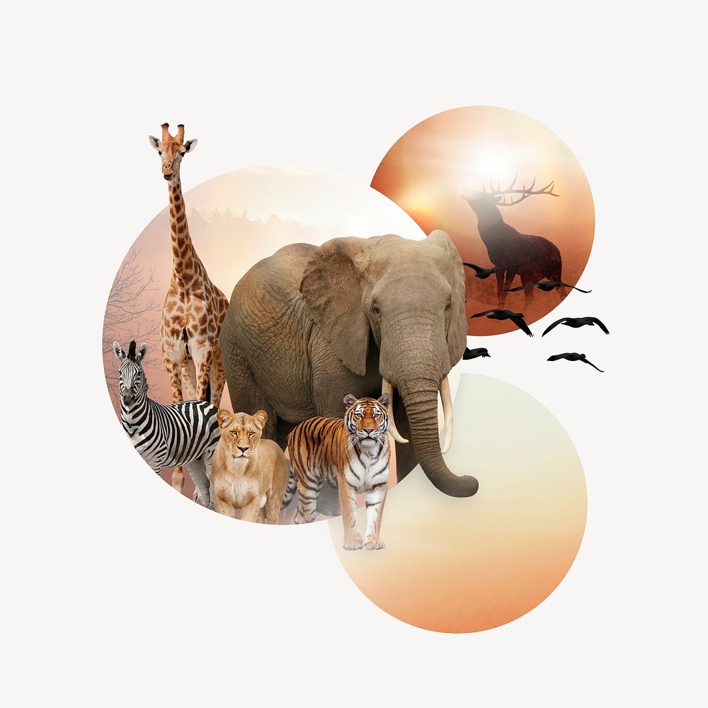 Wildlife animal extinction, global warming | Free Photo - rawpixel