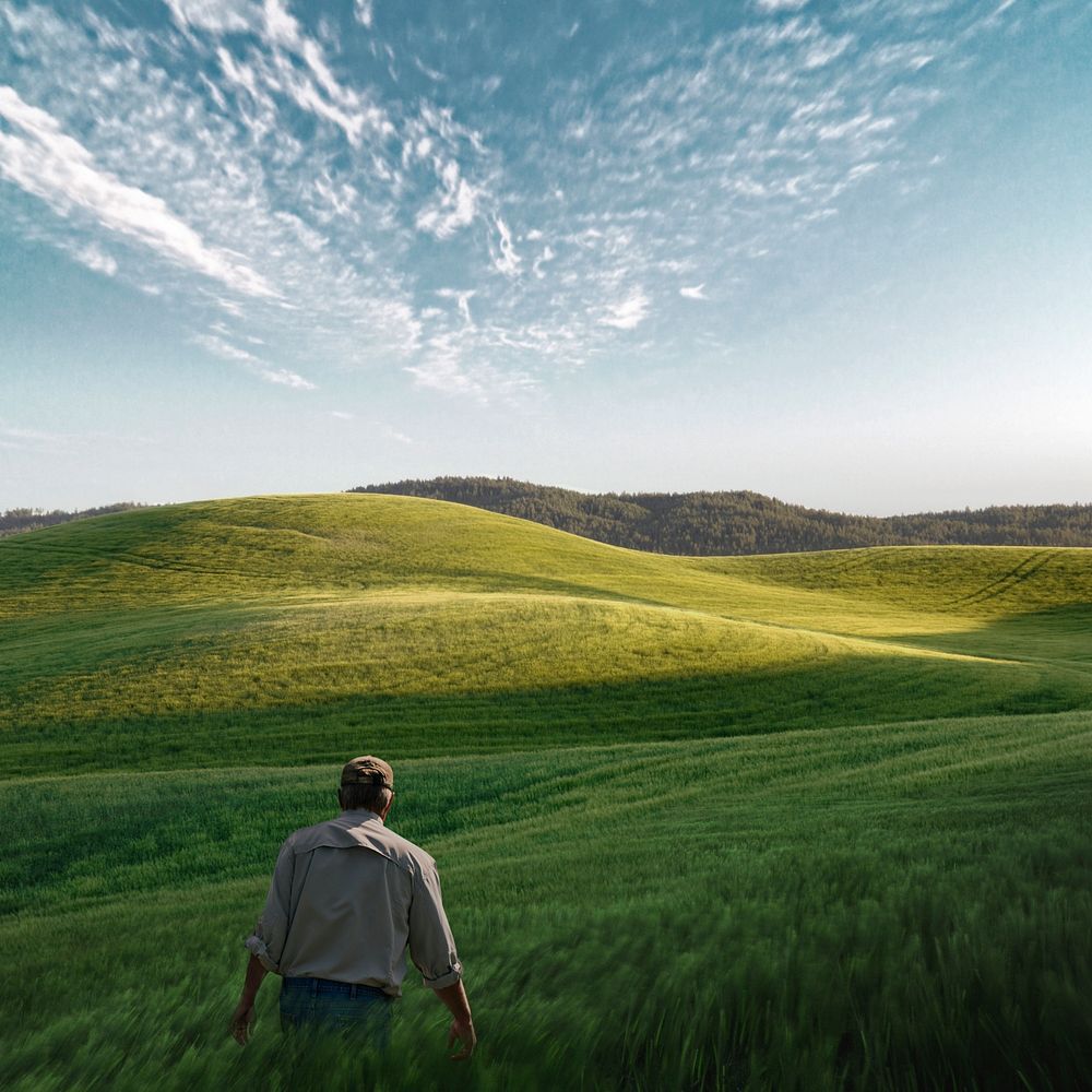 Man walking in green field | Free Photo - rawpixel