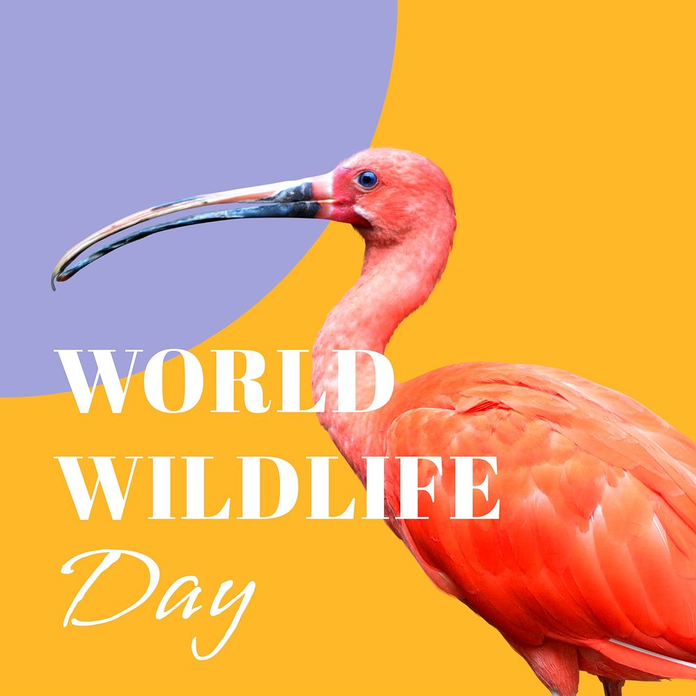 Wildlife conservation Instagram post template | Free Vector Template ...