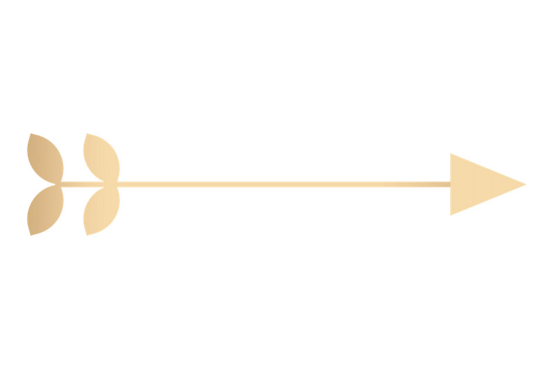 Fancy Arrow Png