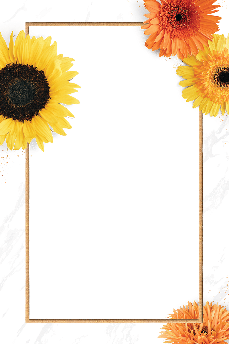Sunflower Page Border