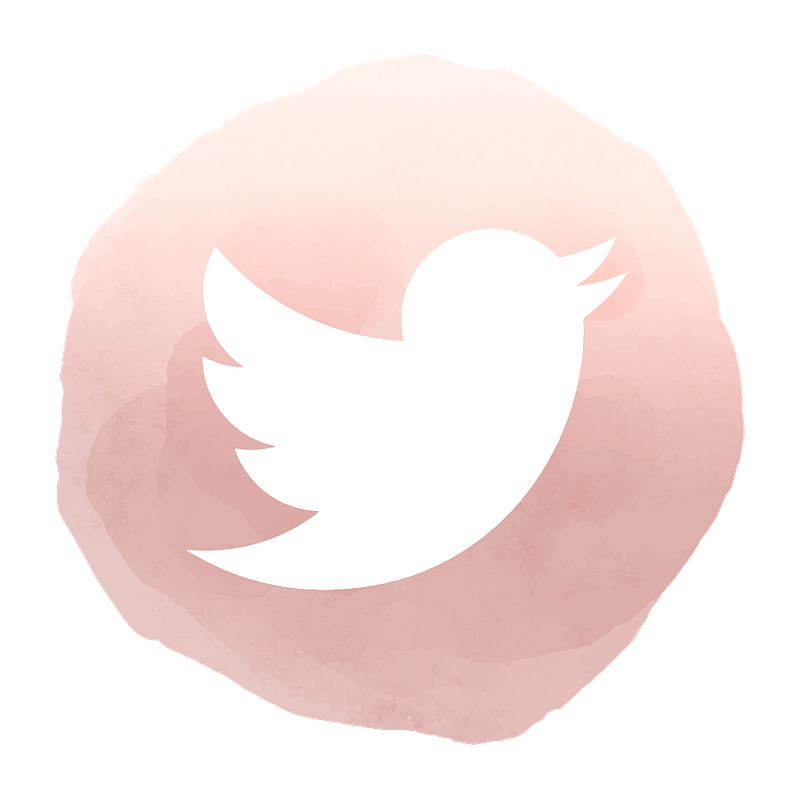 Pink Twitter Icon